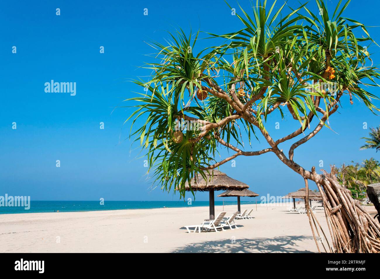 Burmese silver hi-res stock photography and images - Alamy