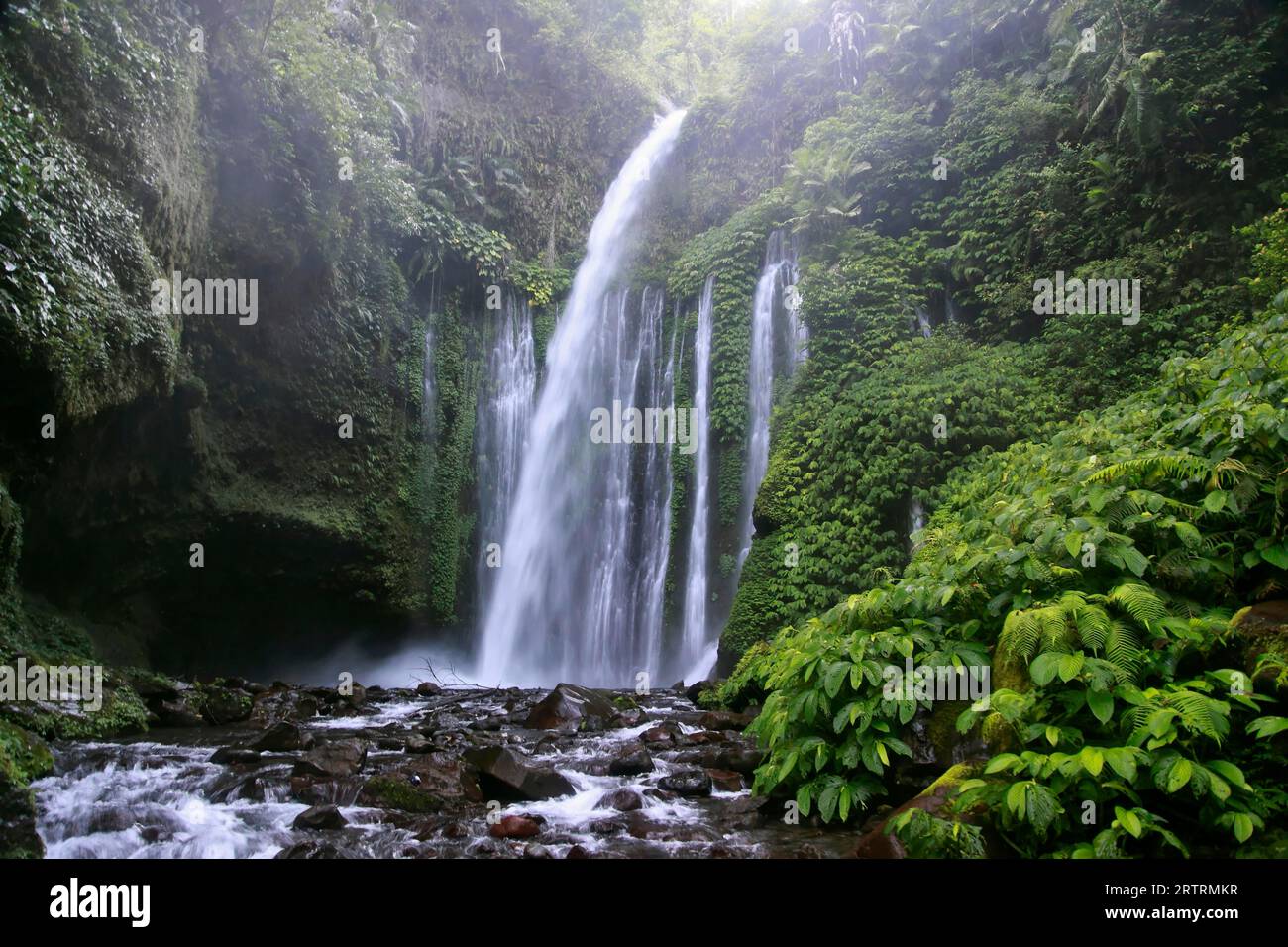 Waterfall in the jungle, Senaru, Lombok, Indonesia Stock Photo - Alamy