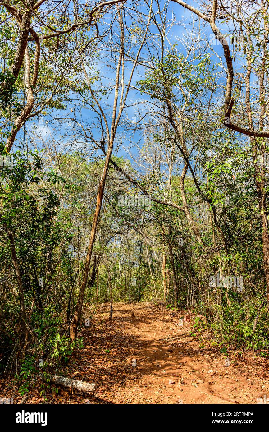 State of vegetation hi-res stock photography and images - Alamy