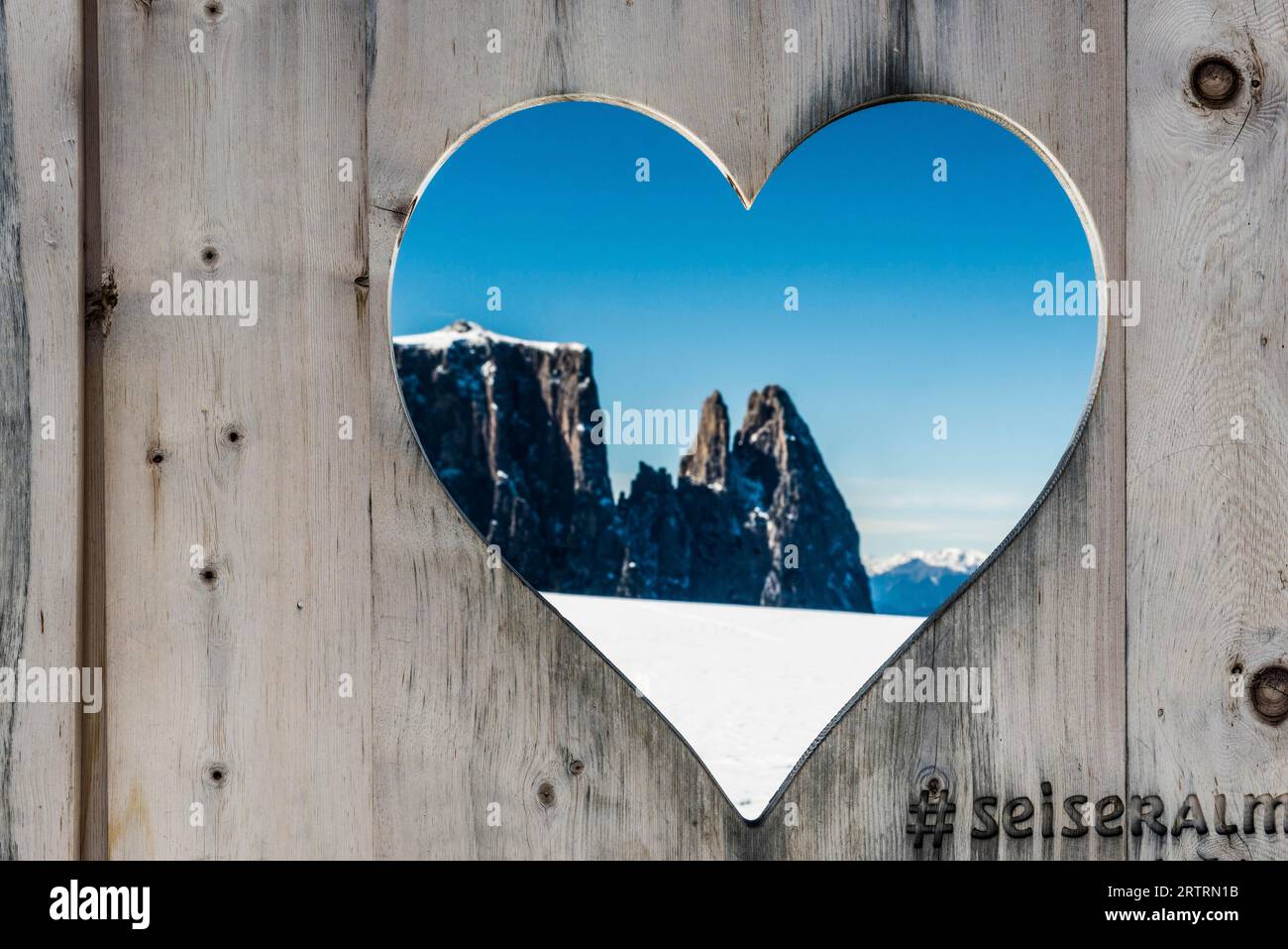 Snow-covered mountains, view of Sciliar and Catinaccio, winter, Alpe di ...