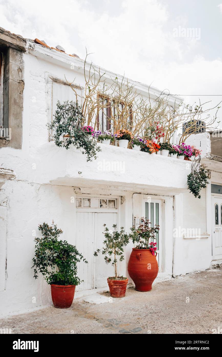 Typical Greek house, decorated, white, facade, flowers, vases, Greece ...