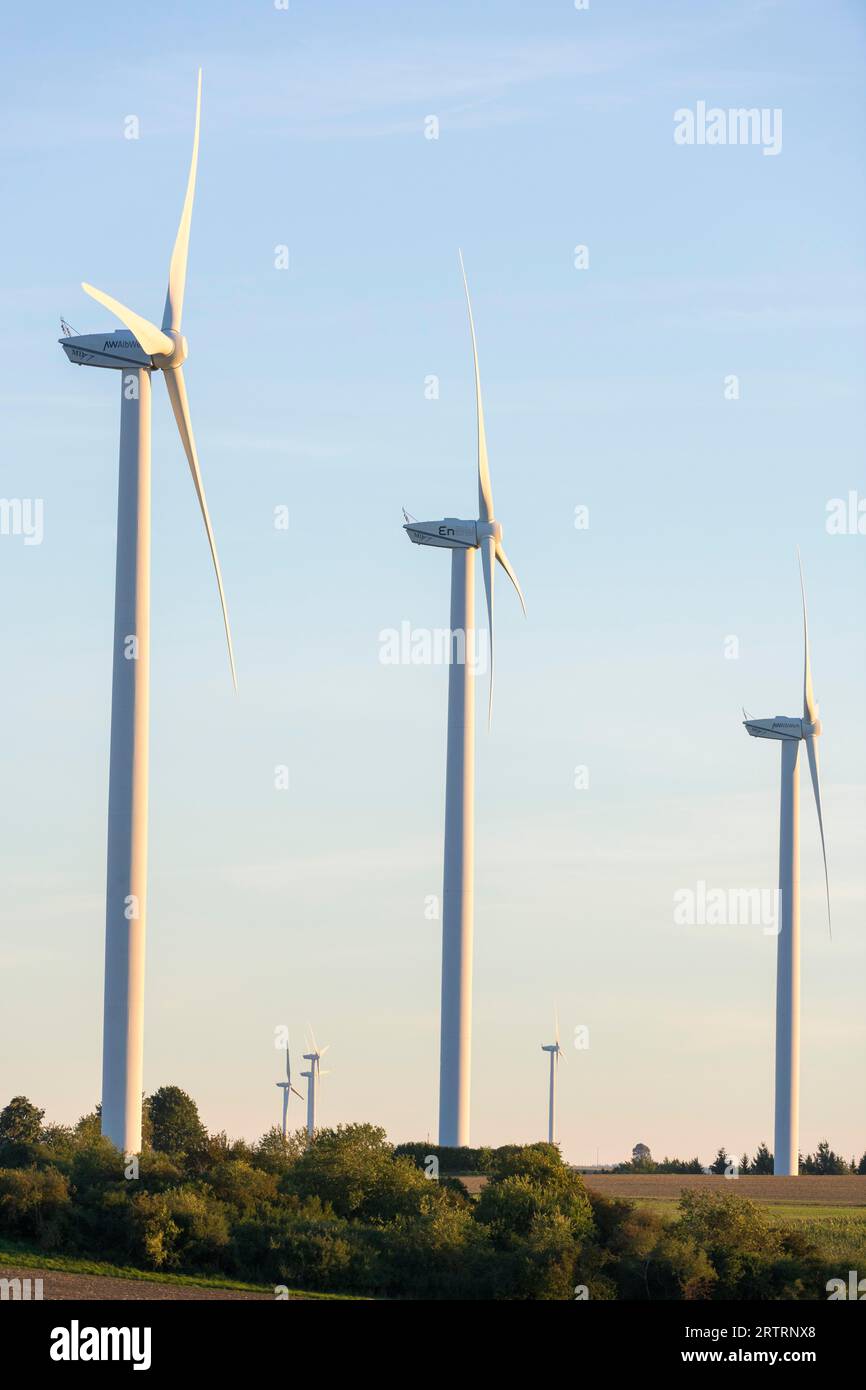 Renewable energies, wind turbine, wind turbines on a field with trees ...