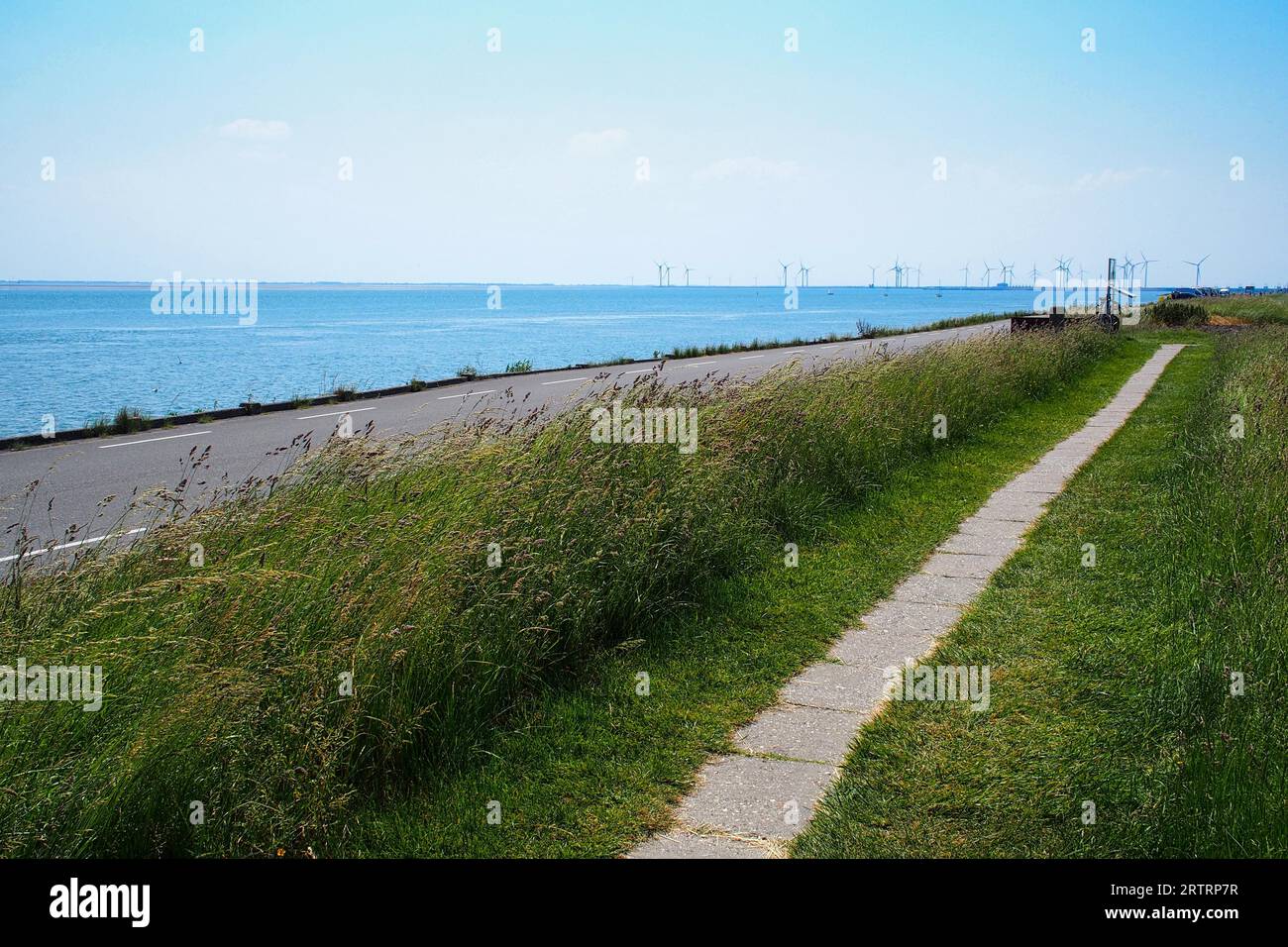 Dike on coast with cycle path, North Sea, Renesse, Netherlands Stock ...