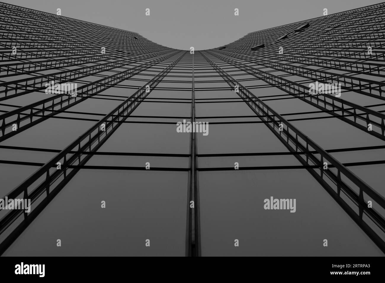 High-rise building in the banking district, high-rise, black and white ...