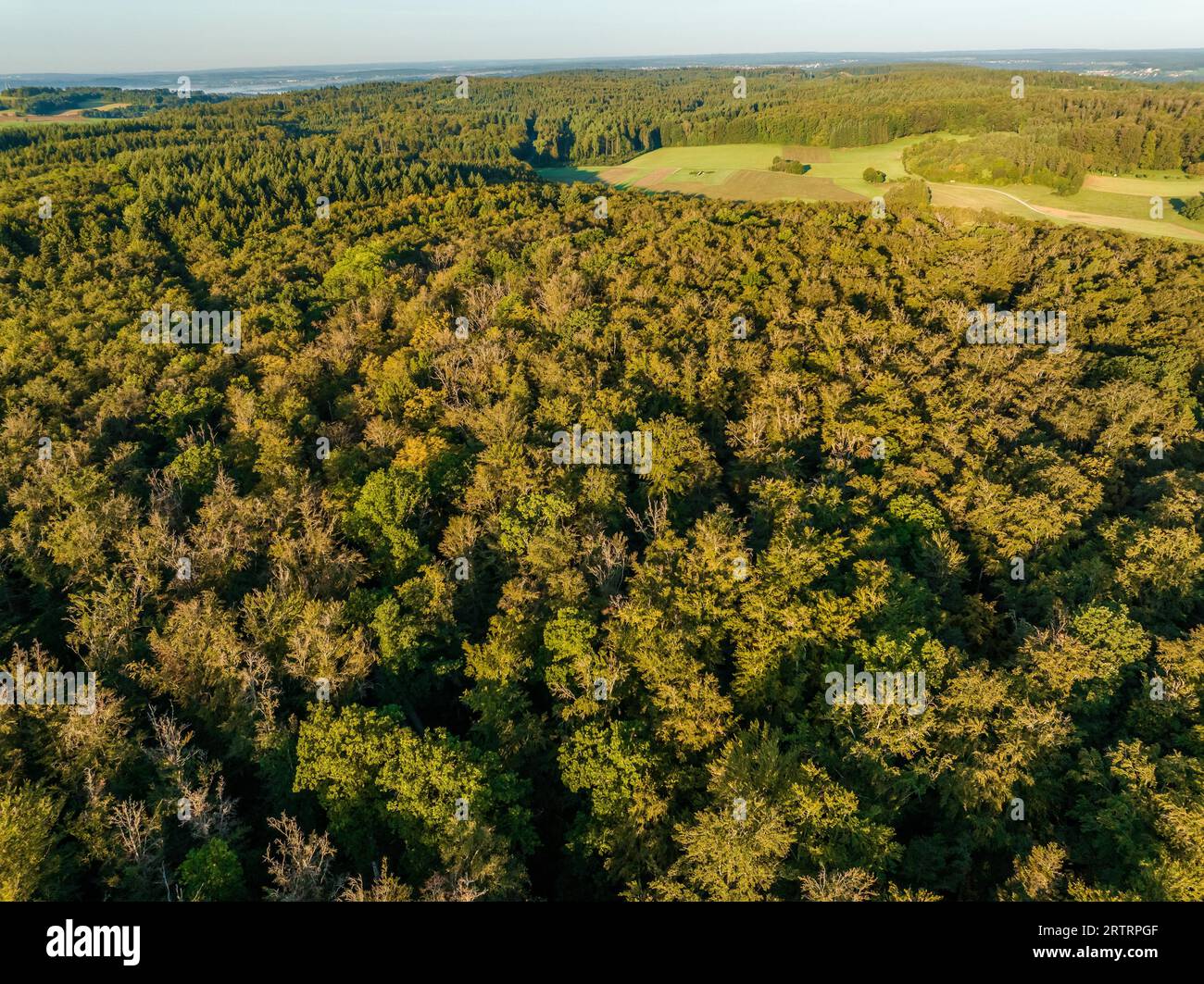 Aerial view endless forest hi-res stock photography and images - Alamy