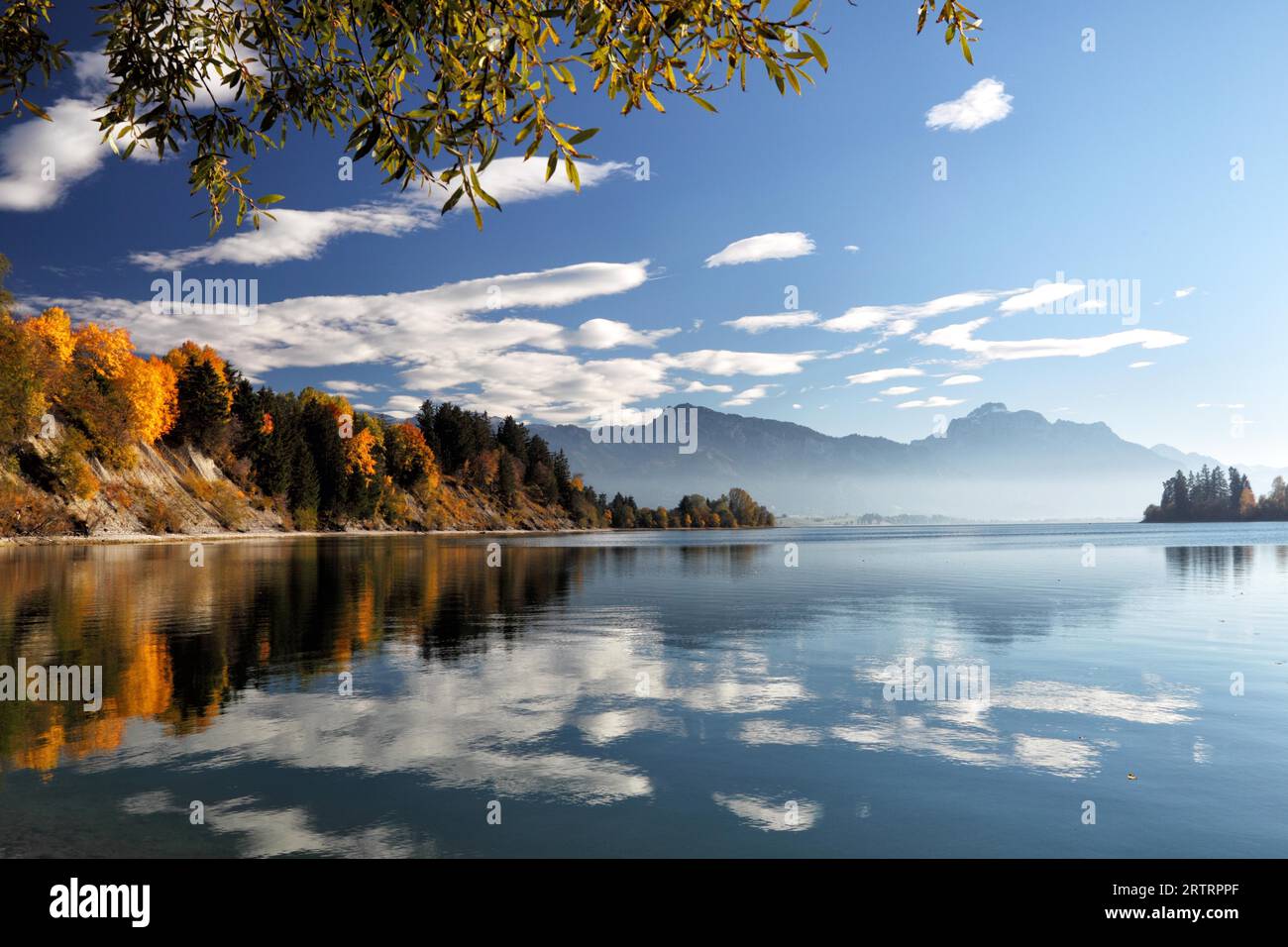 Autumn landscape at the Forggensee in Allgaeu, Bavaria, Germany, with ...