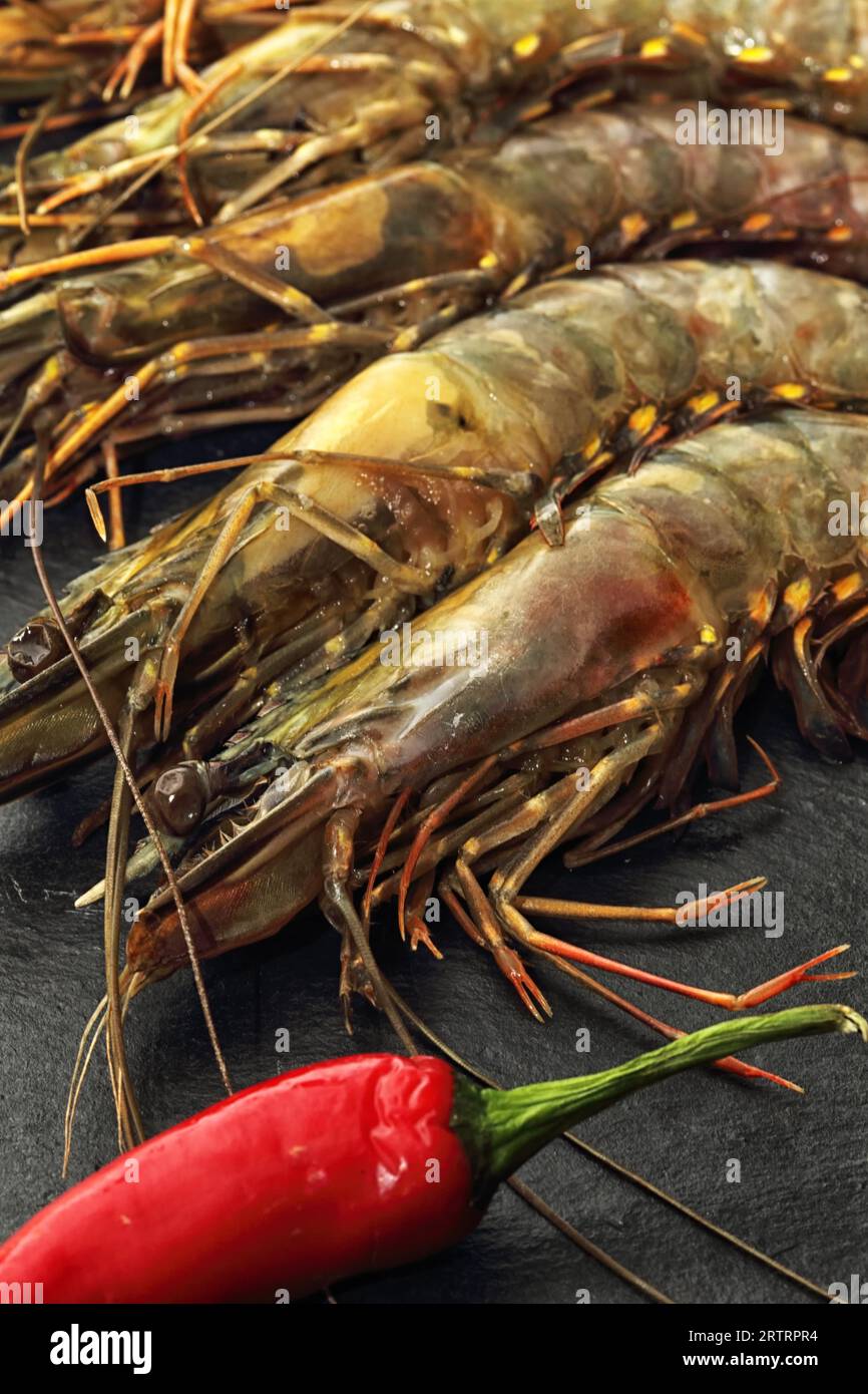 Raw unpeeled king prawns with a red chilli pepper on black slate Stock Photo - Alamy