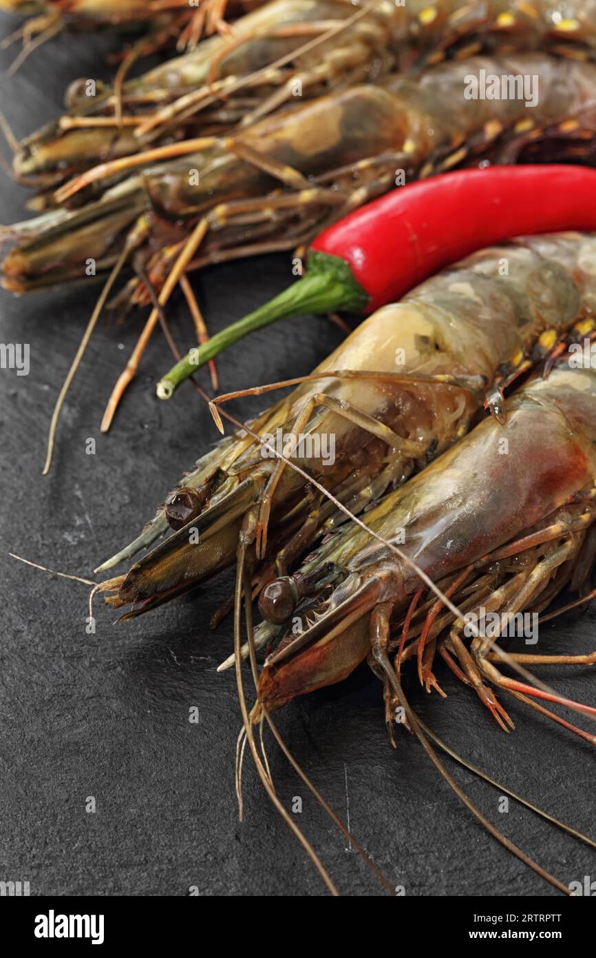 Raw unpeeled king prawns with a red chilli pepper on black slate Stock Photo - Alamy