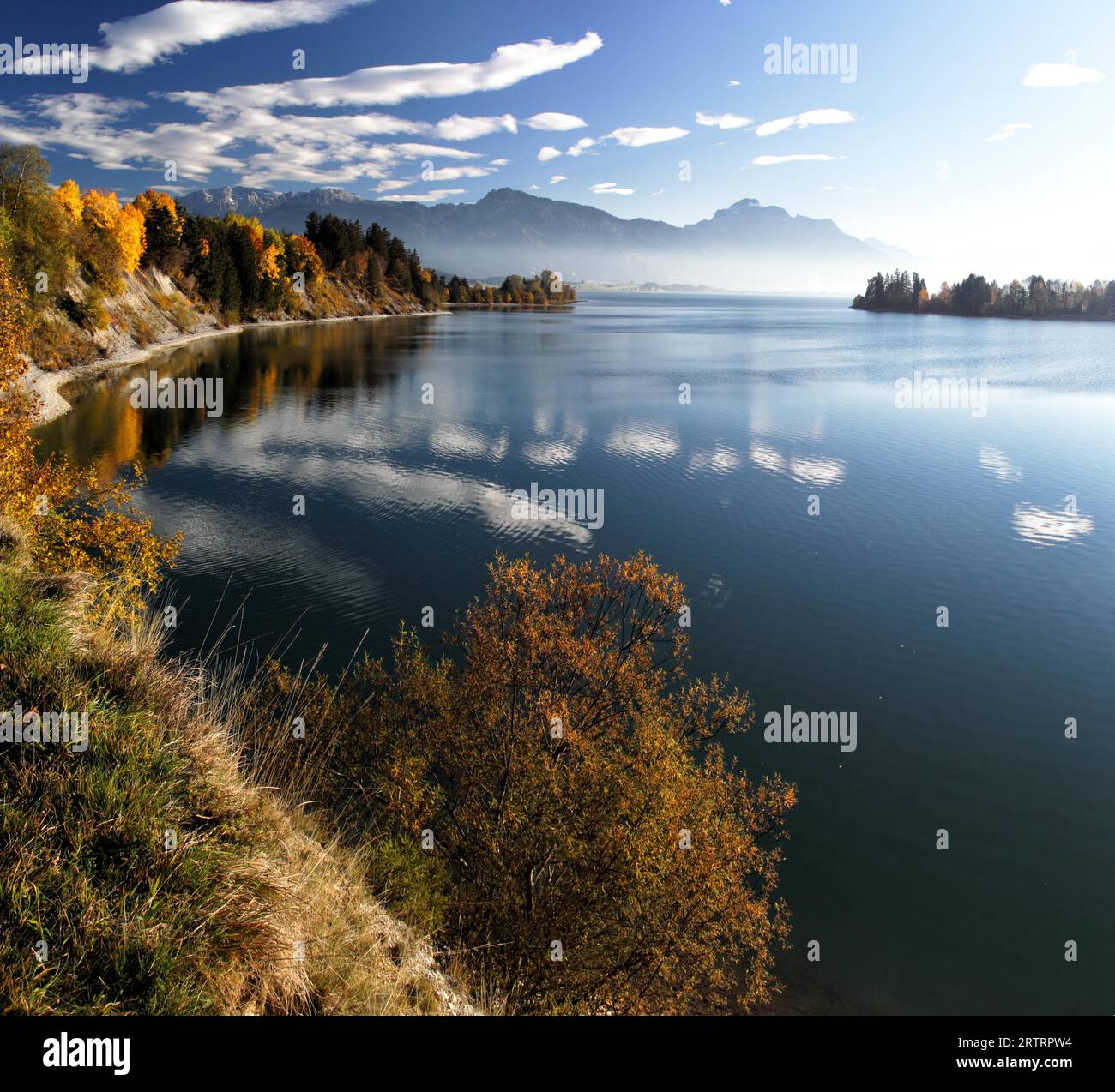 Autumn landscape at Lake Forggensee in Allgaeu, Bavaria, Germany, with ...