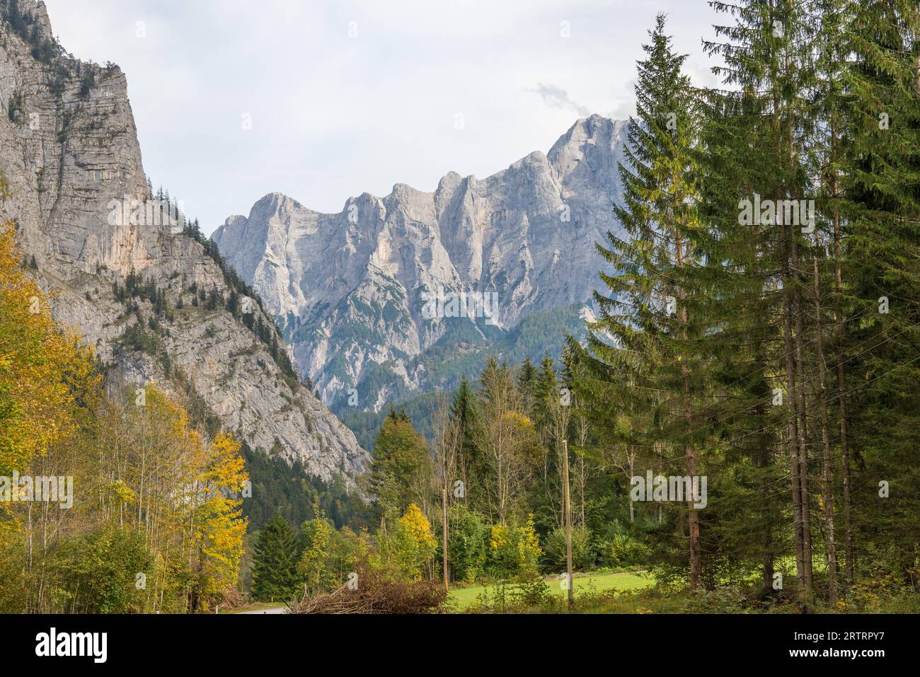 Ges hi-res stock photography and images - Alamy