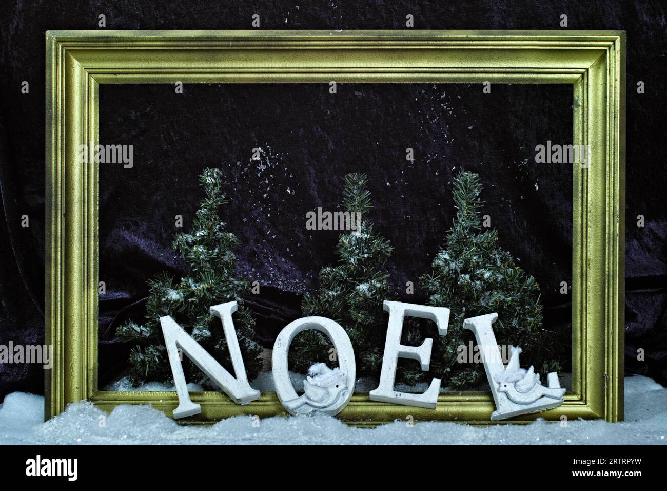 Noel letters against a forest backdrop and picture frame Stock Photo ...