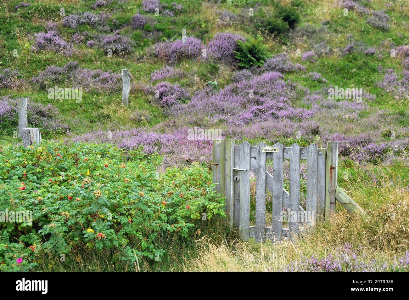 Closed gate on the slope Stock Photo - Alamy