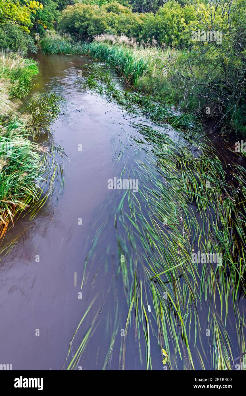 River landscape in Denmark, Midtjylland, Danmark Stock Photo - Alamy