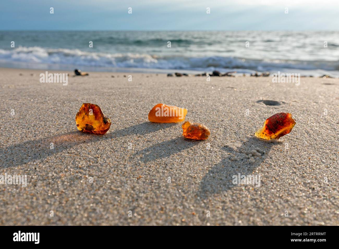 Amber coast hi-res stock photography and images - Alamy
