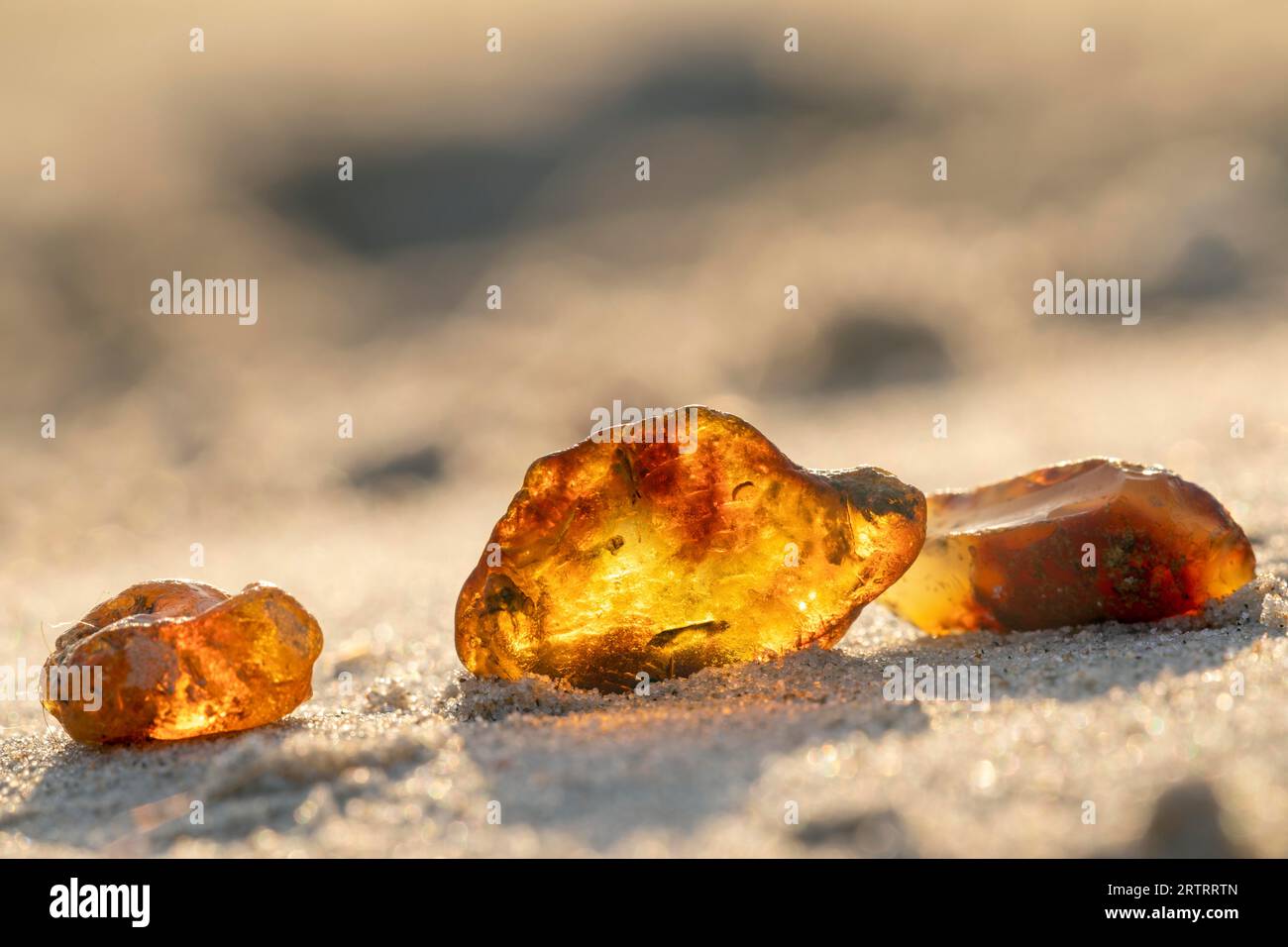 Denmark beach amber hi-res stock photography and images - Alamy