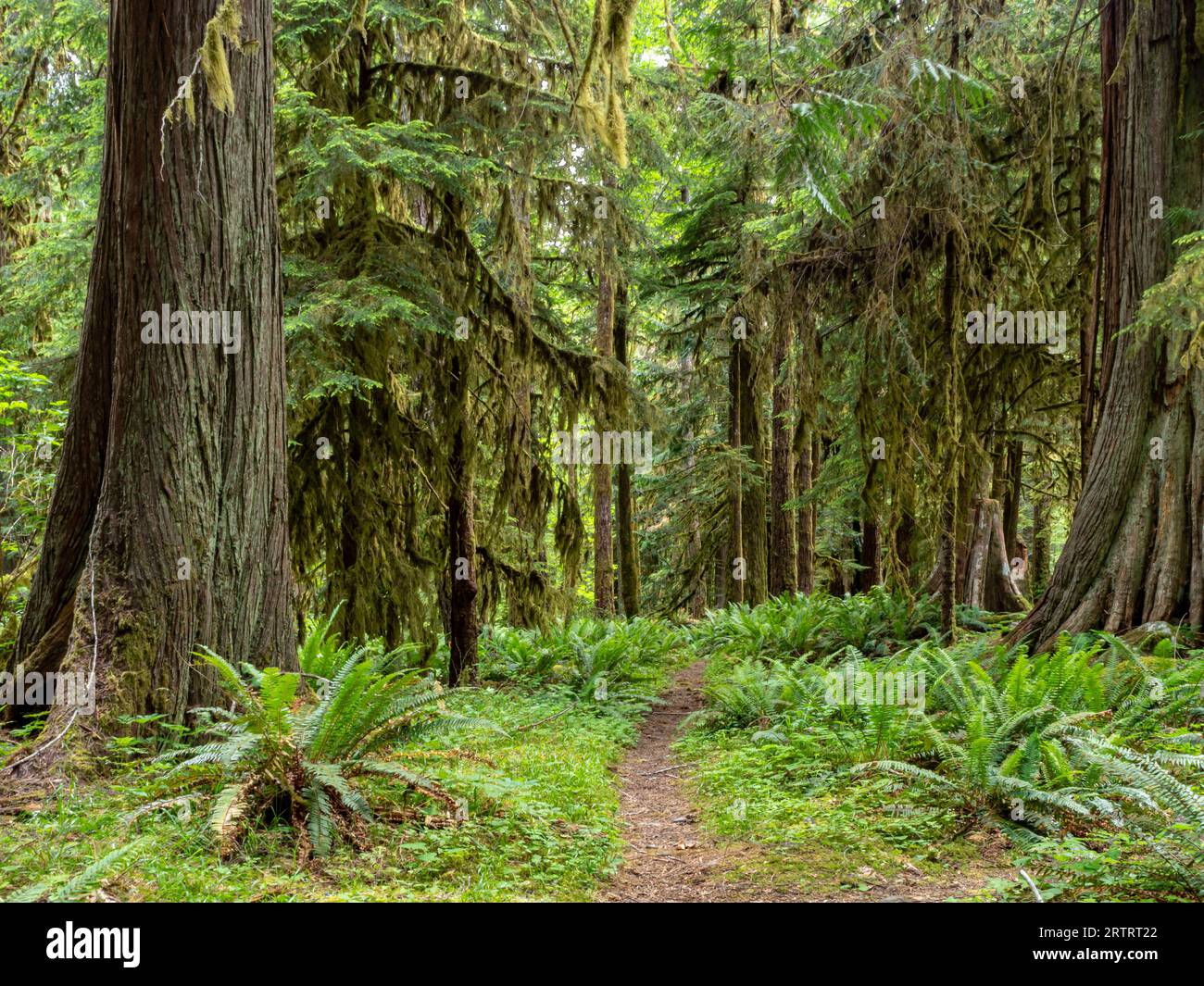 Next to the lillian river hi-res stock photography and images - Alamy