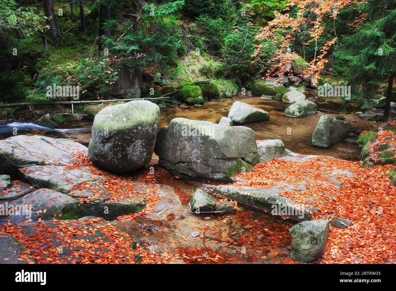 Fallen leaves on rocks hi-res stock photography and images - Alamy