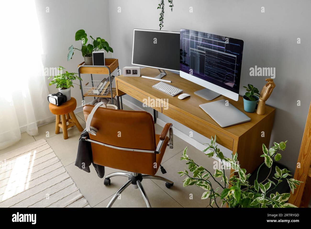Interior of light office with programmer's workplace and houseplants ...