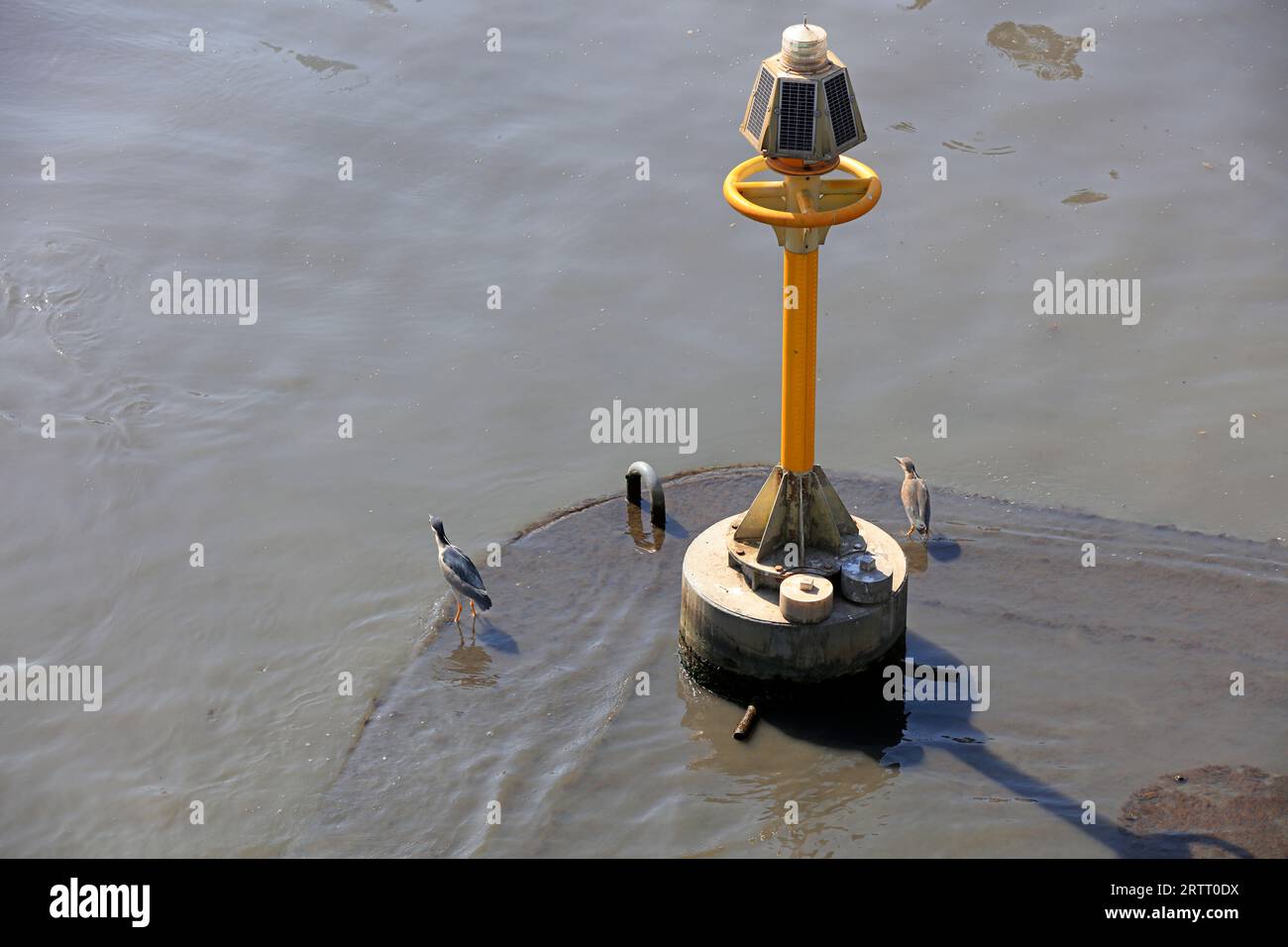 Beacon lights hi-res stock photography and images - Alamy