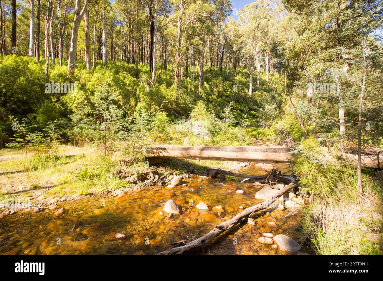 The base of the epic walking and biking track called Delatite River ...