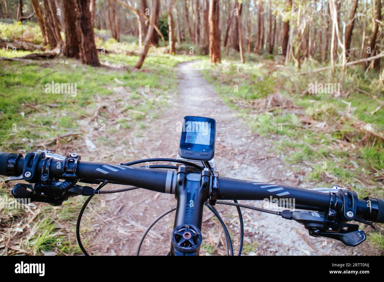 The popular Lysterfield mountain bike park in Churchill National Park ...