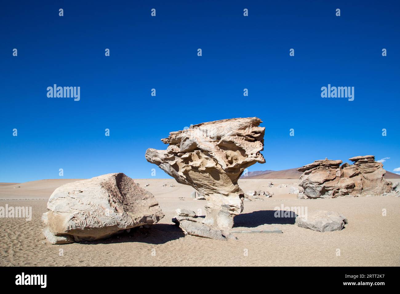 Famous stone formation Arbol de Piedra in Bolivian altiplano Stock ...