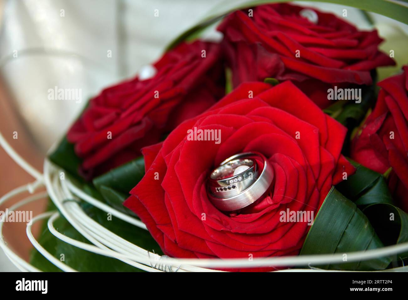 Roses with rings hi-res stock photography and images - Alamy