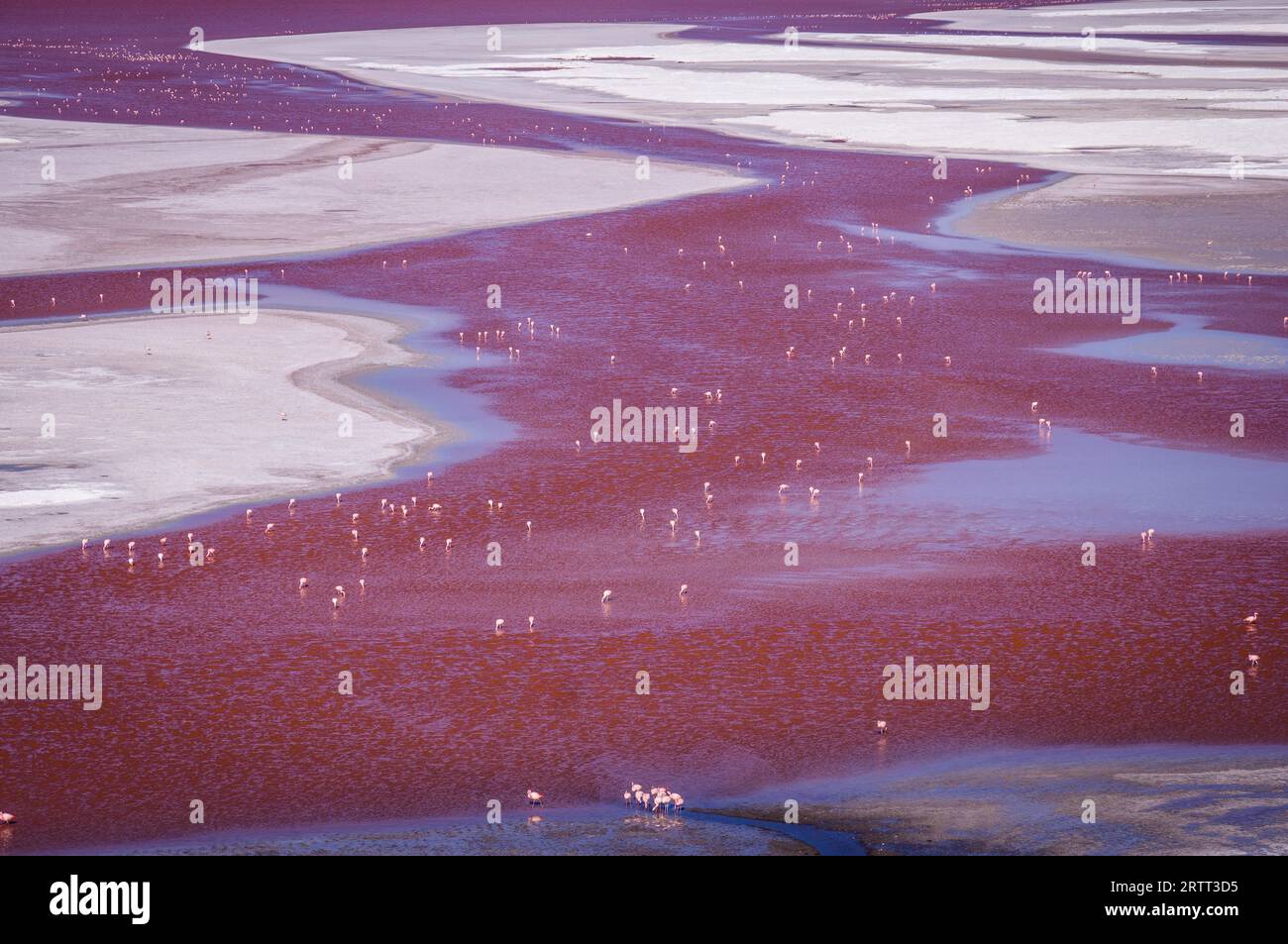 Laguna colorada aerial hi-res stock photography and images - Alamy