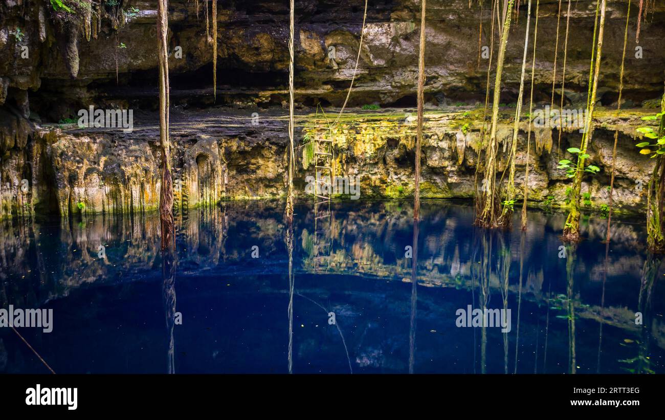 Cenote San Lorenzo Oxman near Valladolid, Mexico. a lovely cenote with ...