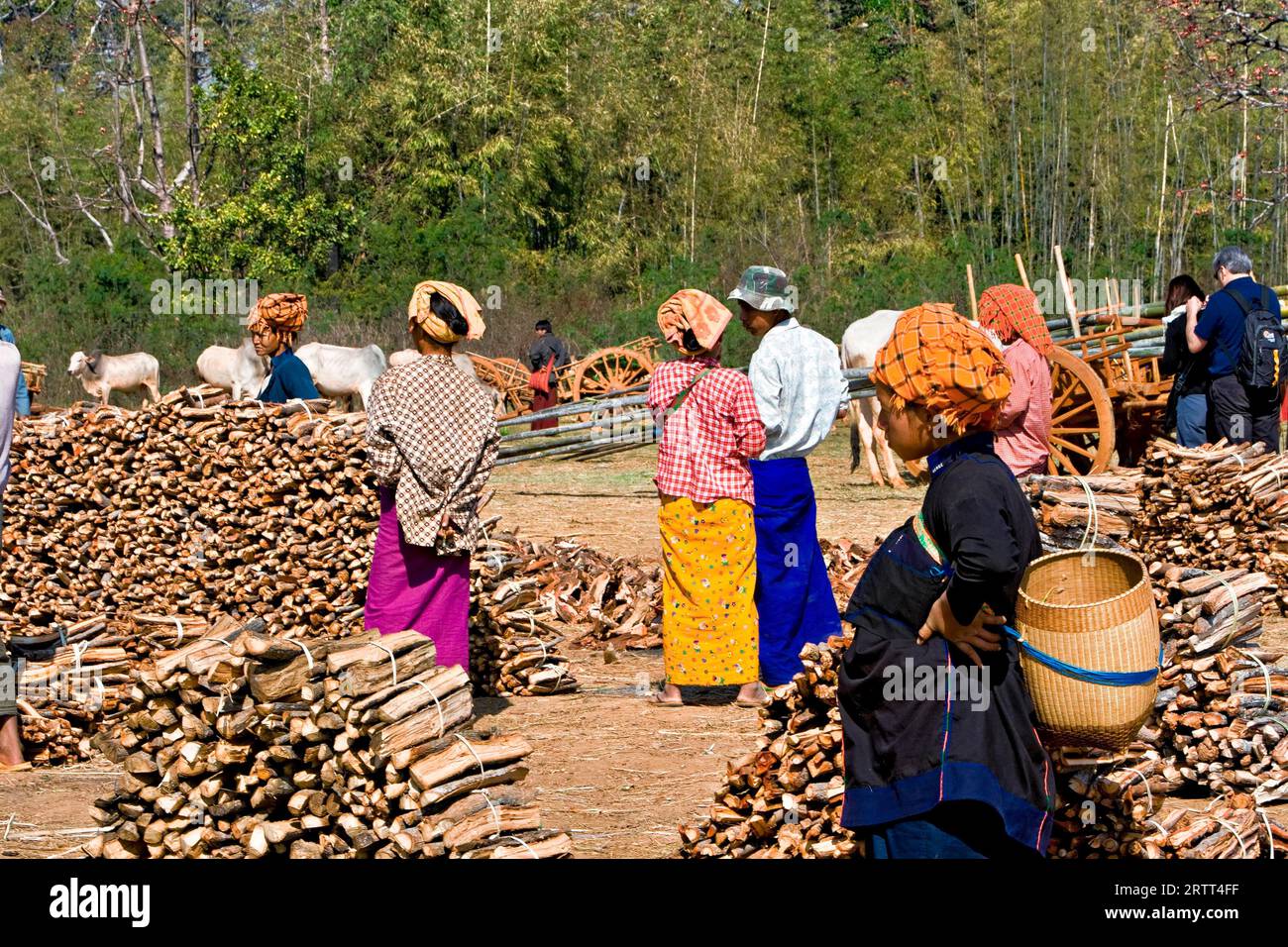 Woman selling firewood hi-res stock photography and images - Alamy
