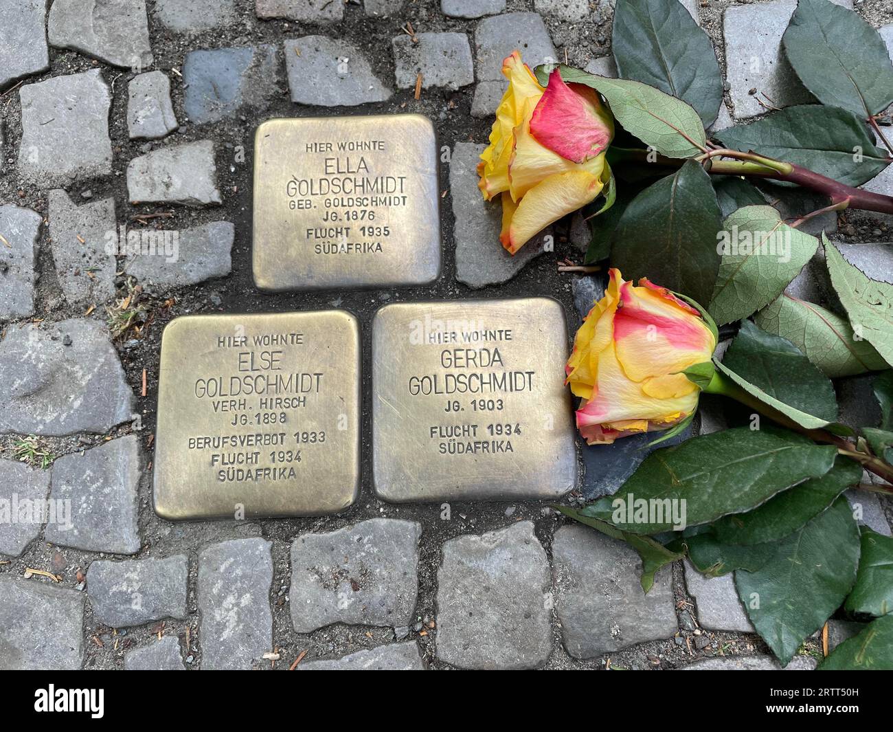 Stumbling blocks of the Jewish Goldschmidt family, saved, successful ...