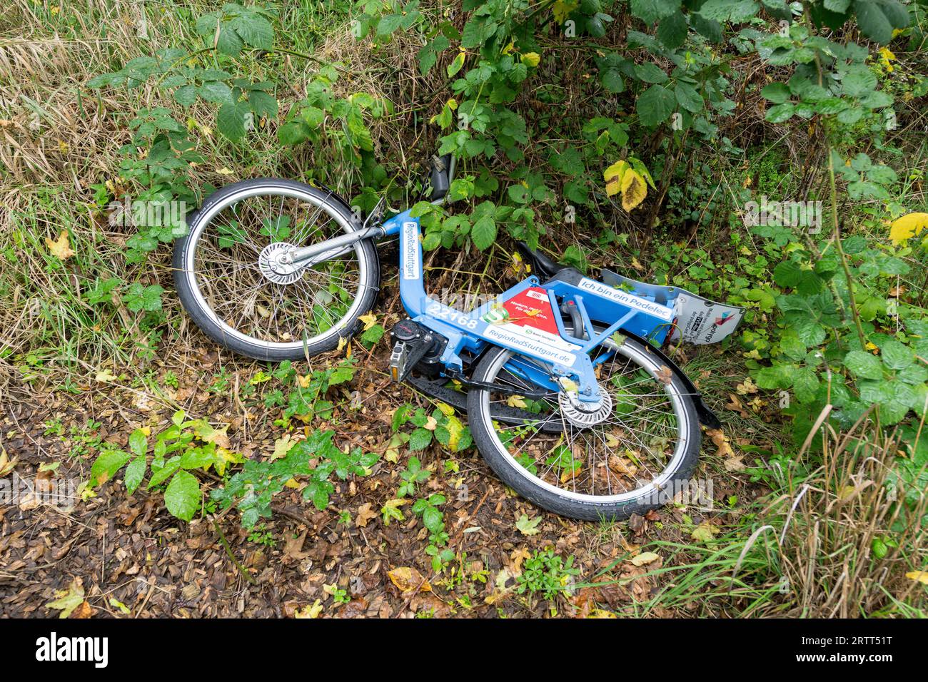 Symbolic image for environmental pollution, pedelec thrown into bushes ...