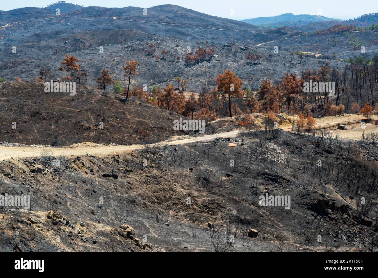 Banished land, trees, shrubs, fire, forest fire 2023 Mountain village ...