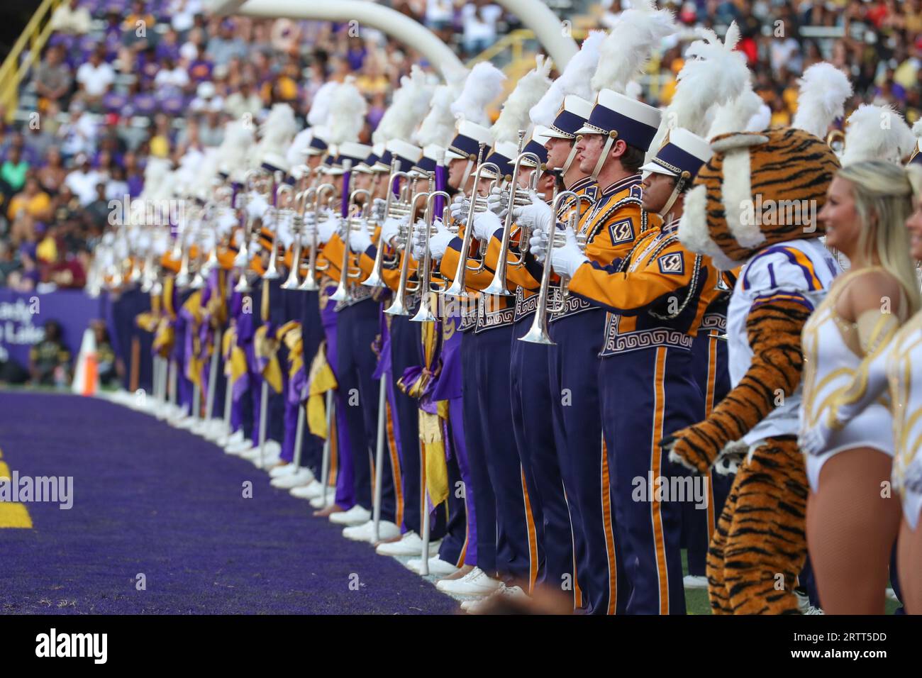 Grambling tiger hi-res stock photography and images - Alamy