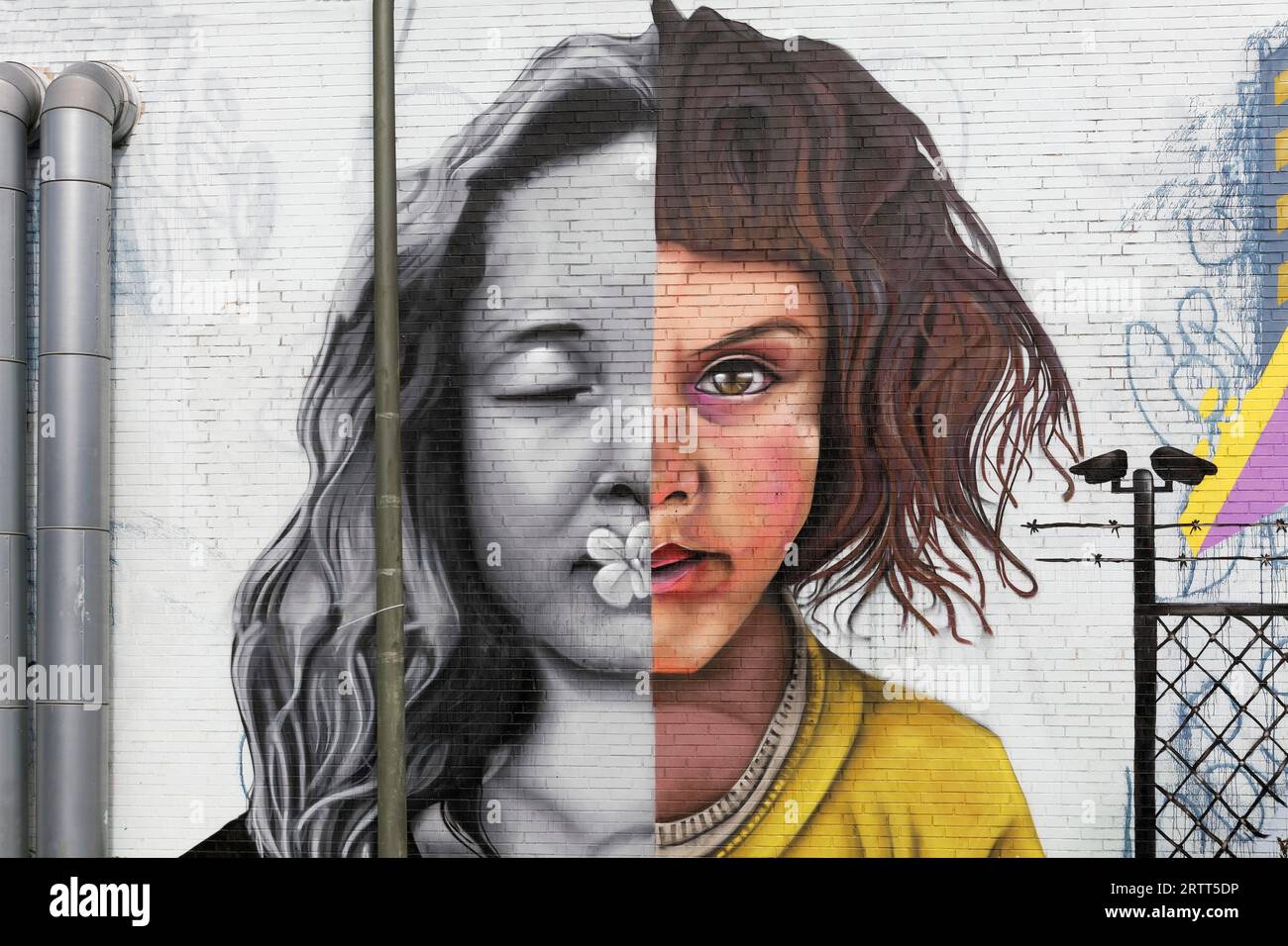 Face of a girl, one half in colour, one in black and white, socially ...