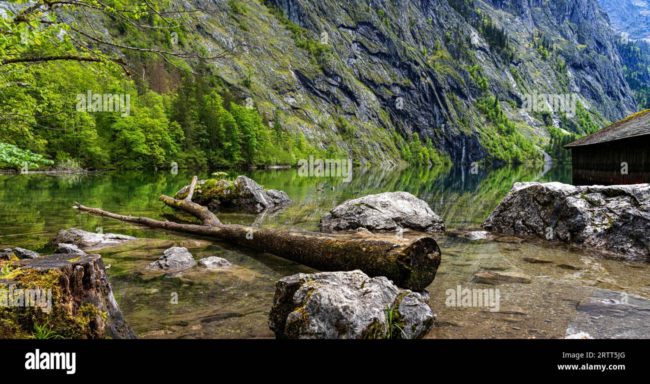Landscape and nature reserves around the Obersee, Berchtesgaden ...