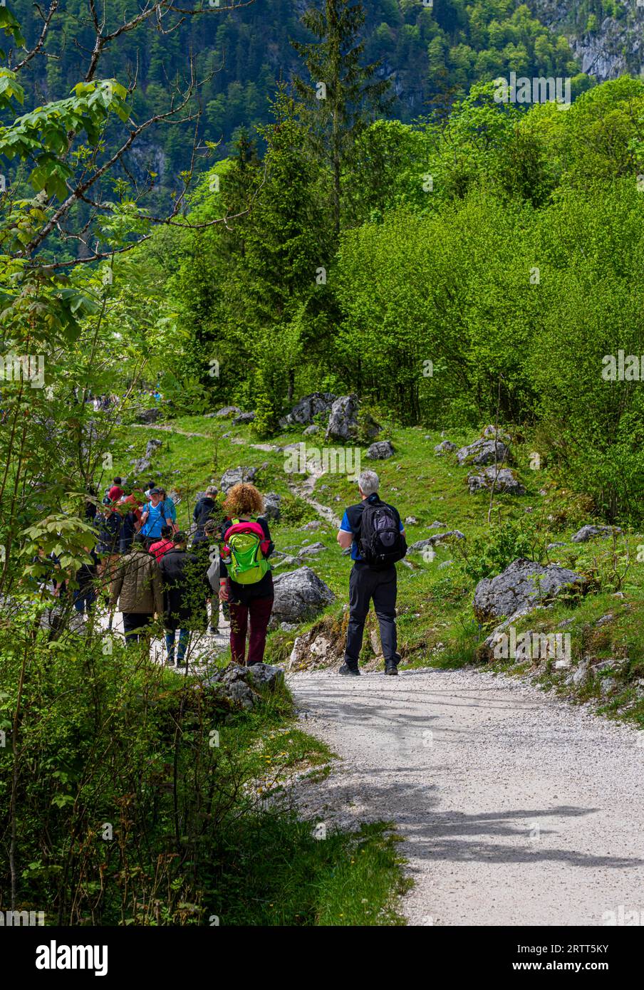 Hikers and tourists at Obersee, landscape and nature reserves ...