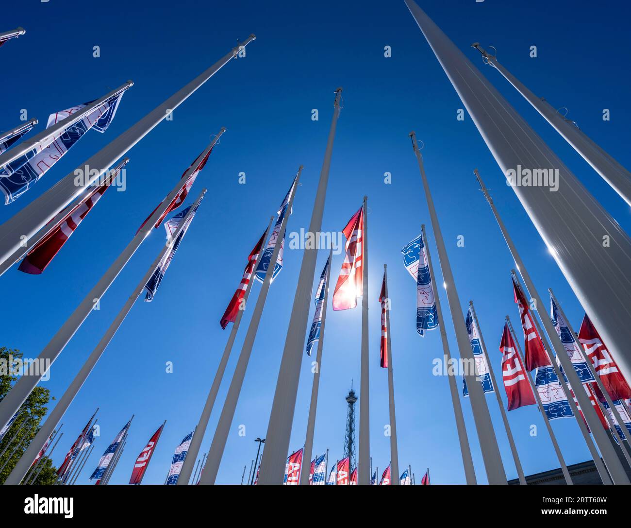 Flagpoles with IFA flags, Hammarskjoeldplatz, Messehallen am Funkturm ...