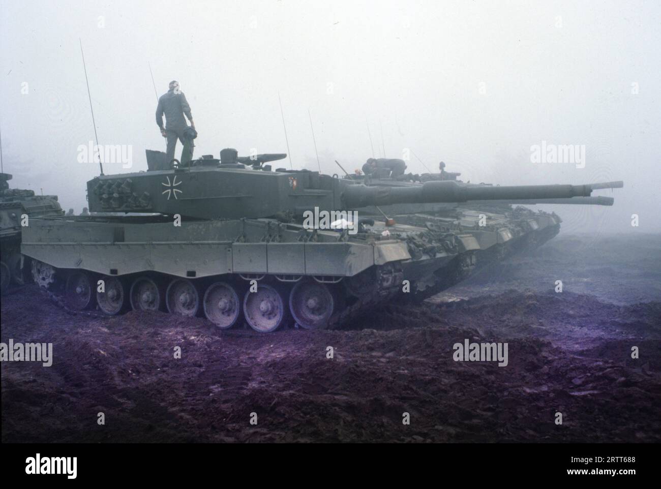 80s animal hi-res stock photography and images - Alamy