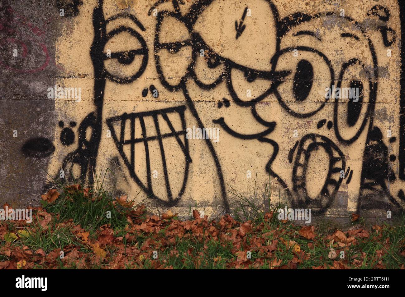 Happy graffiti with three different faces, foreground meadow with ...