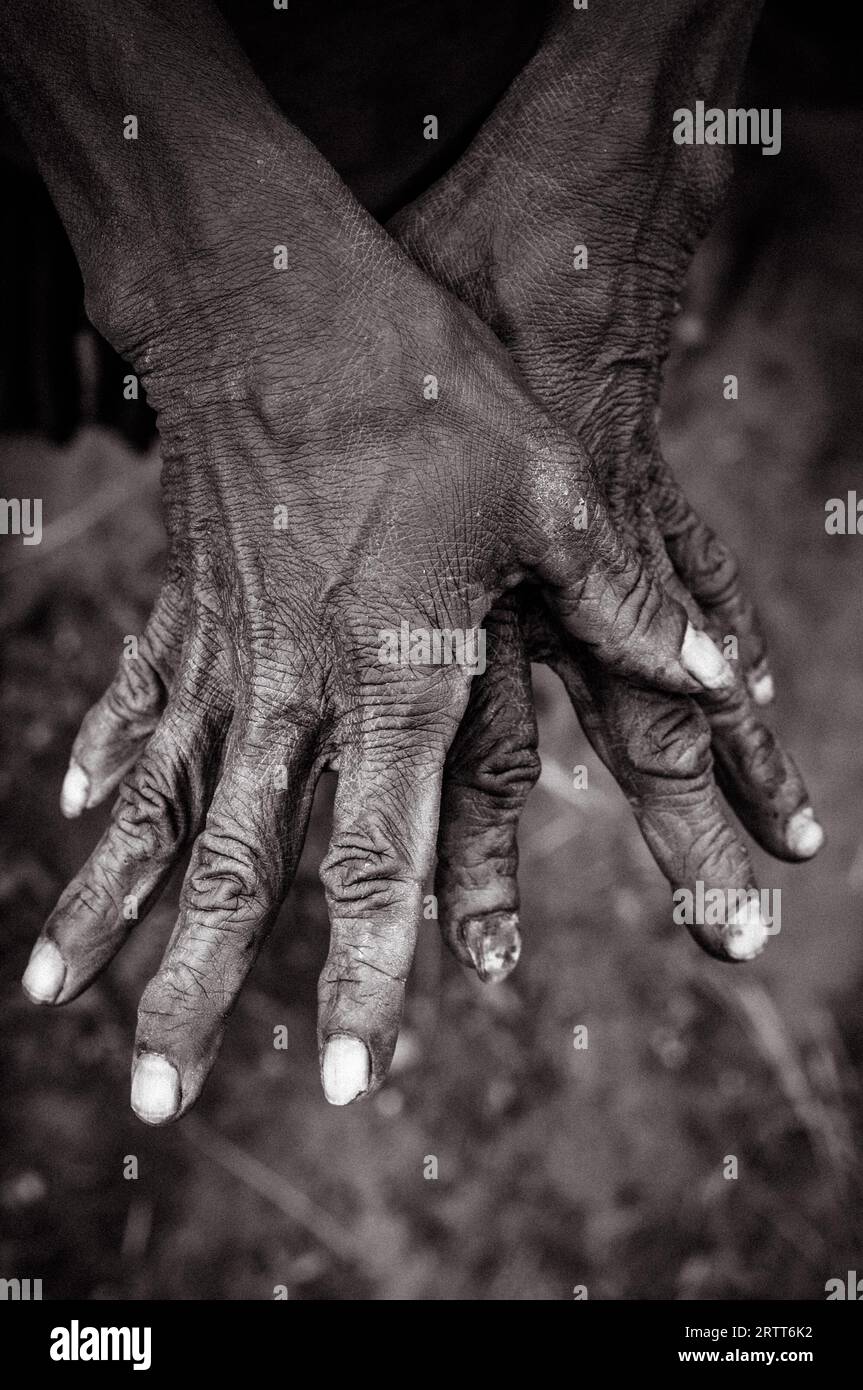 Photo of womans hands with wrinkles marked by time and work in Trikora ...