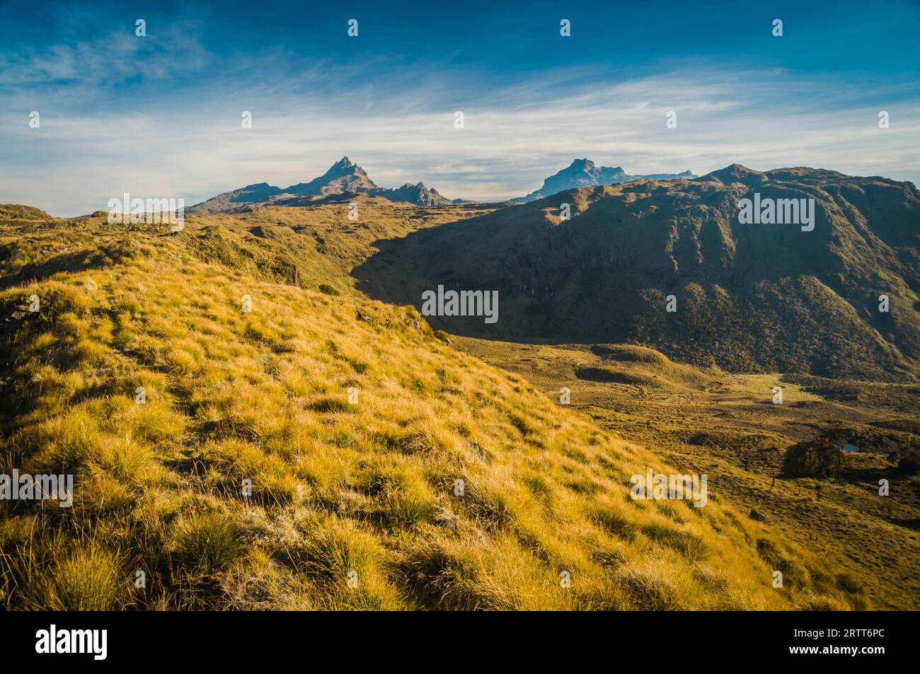 Hills and wild nature near Mt. Giluwe in Papua New Guinea. In this ...