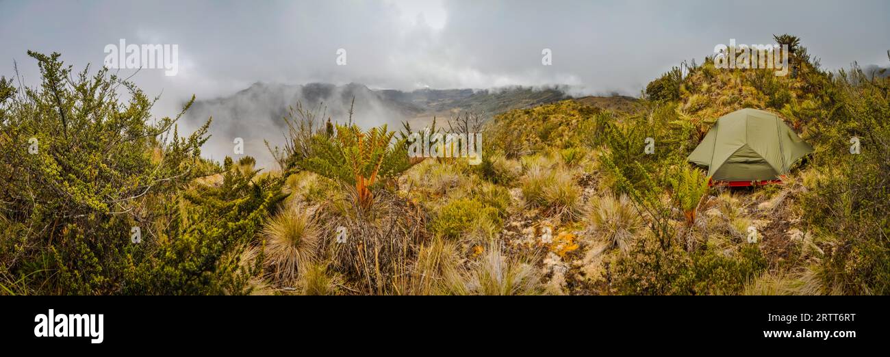 Photo of tent surrounded by grass and bushes in Trikora, Papua ...