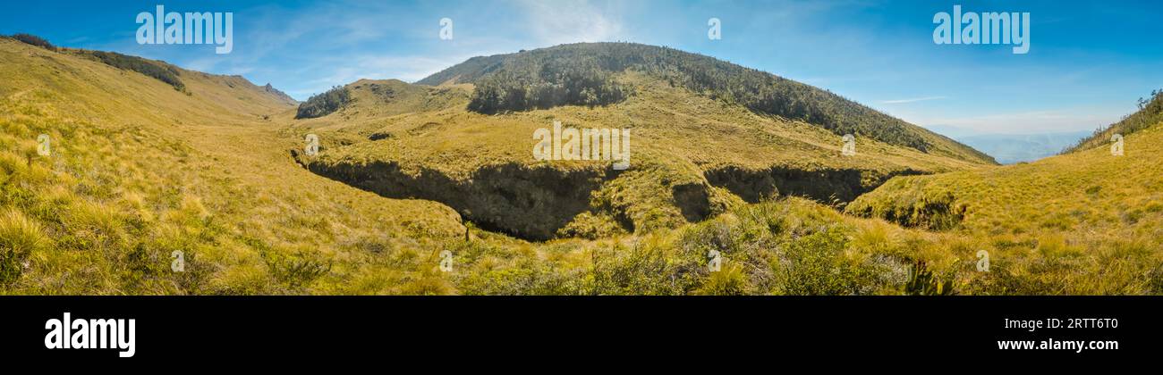 Panoramic photo of wild nature near Mt. Giluwe in Papua New Guinea. In ...