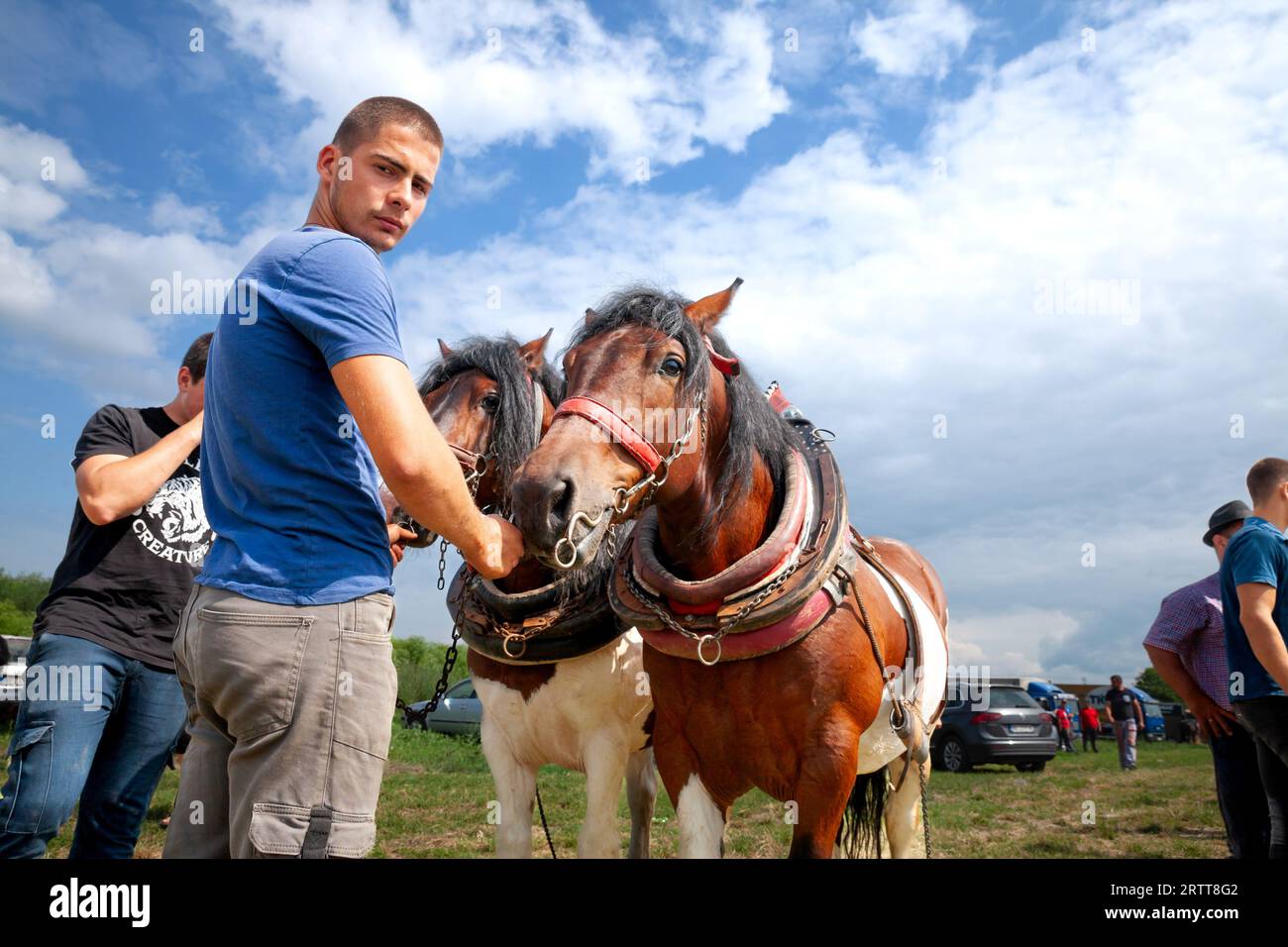 Picture of men taming horses in the Rumska Straparijada market, with a ...