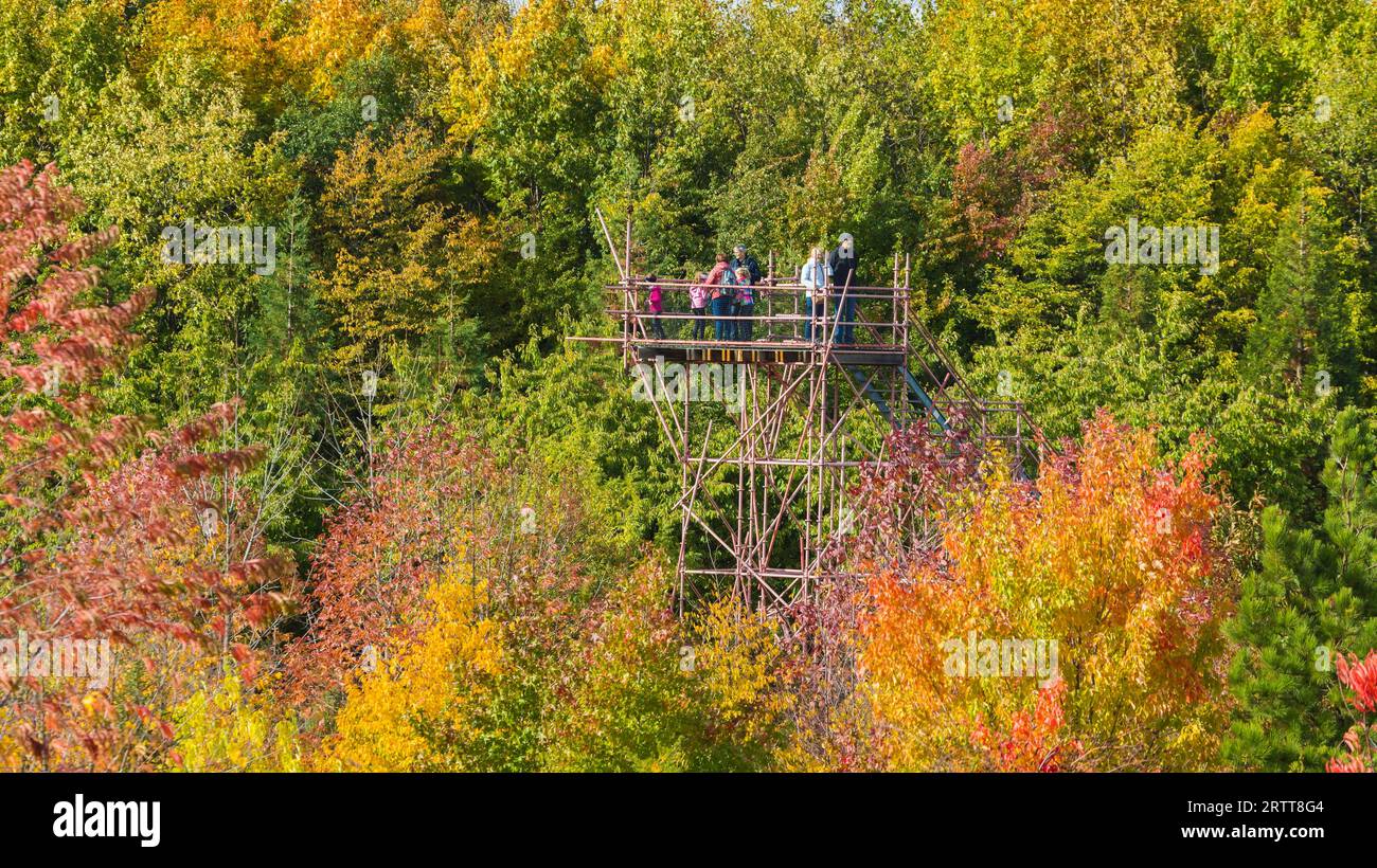 The Forest Botanical Garden Tharandt is an institution of the Technical ...
