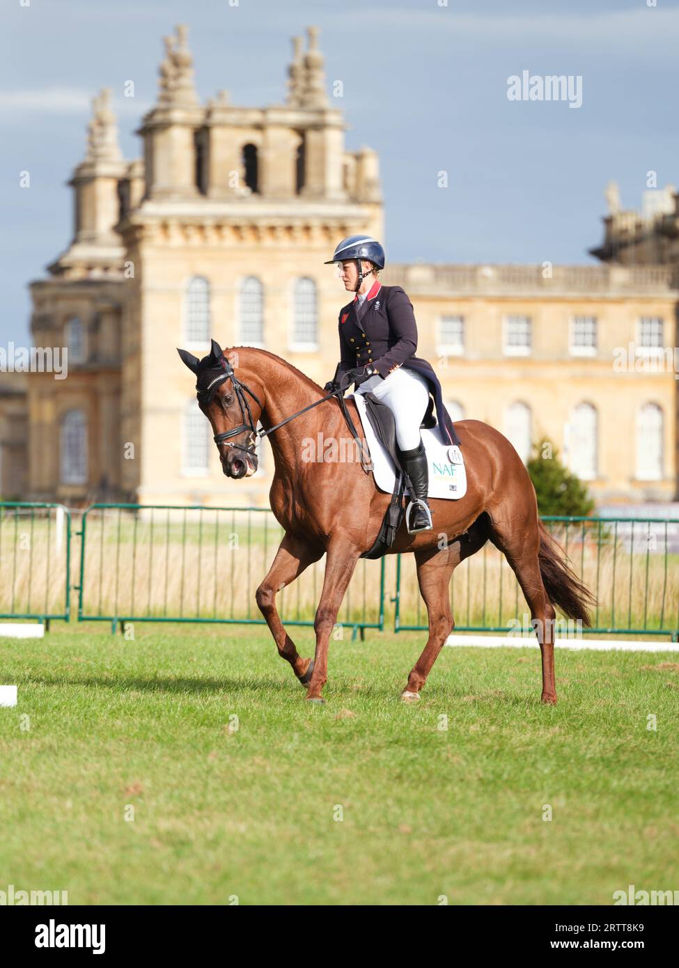 Gemma Stevens of Great Britain with Jalapeno Iii during the dressage ...