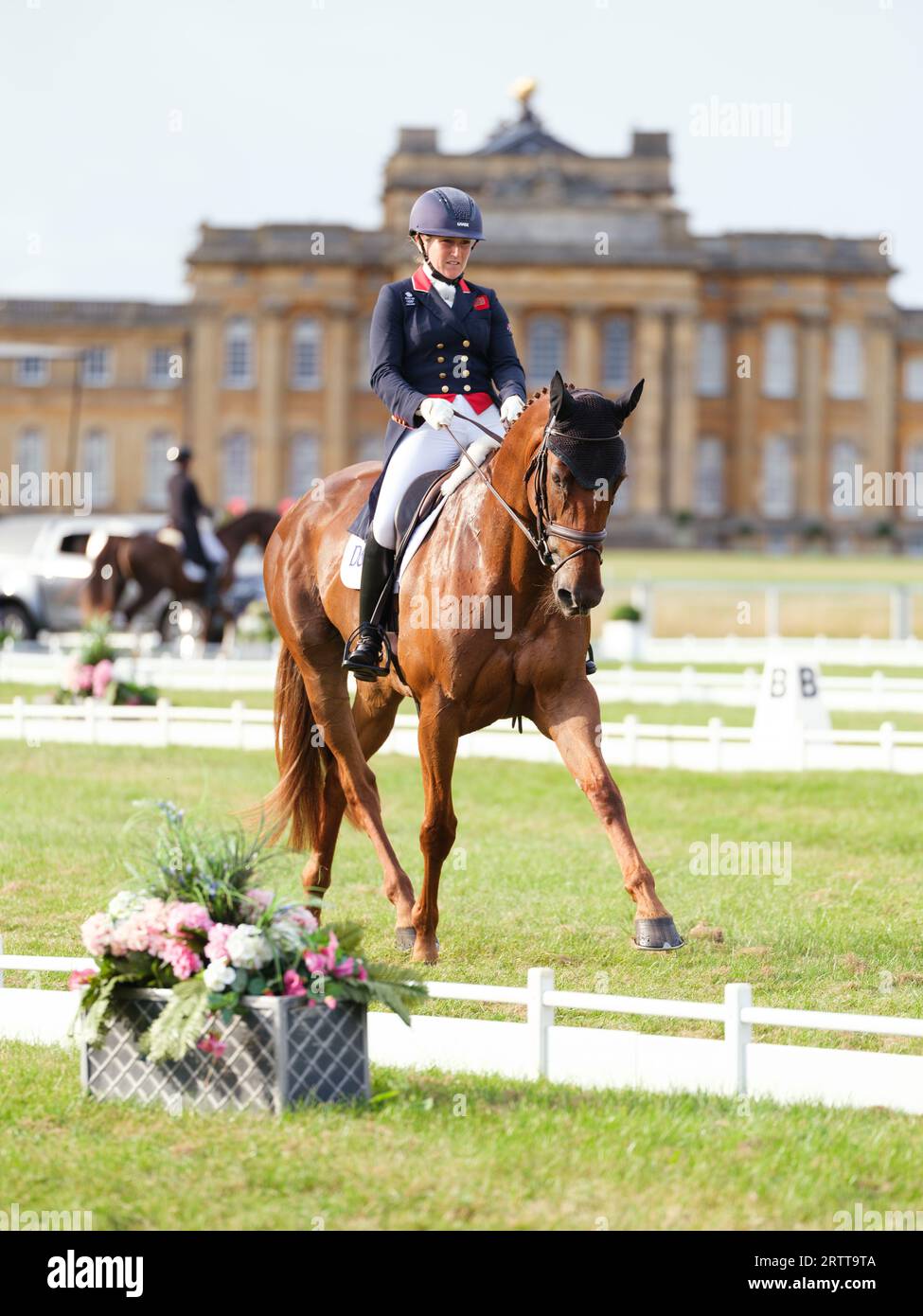 Laura Collett of Great Britain with Bling during the dressage test at ...