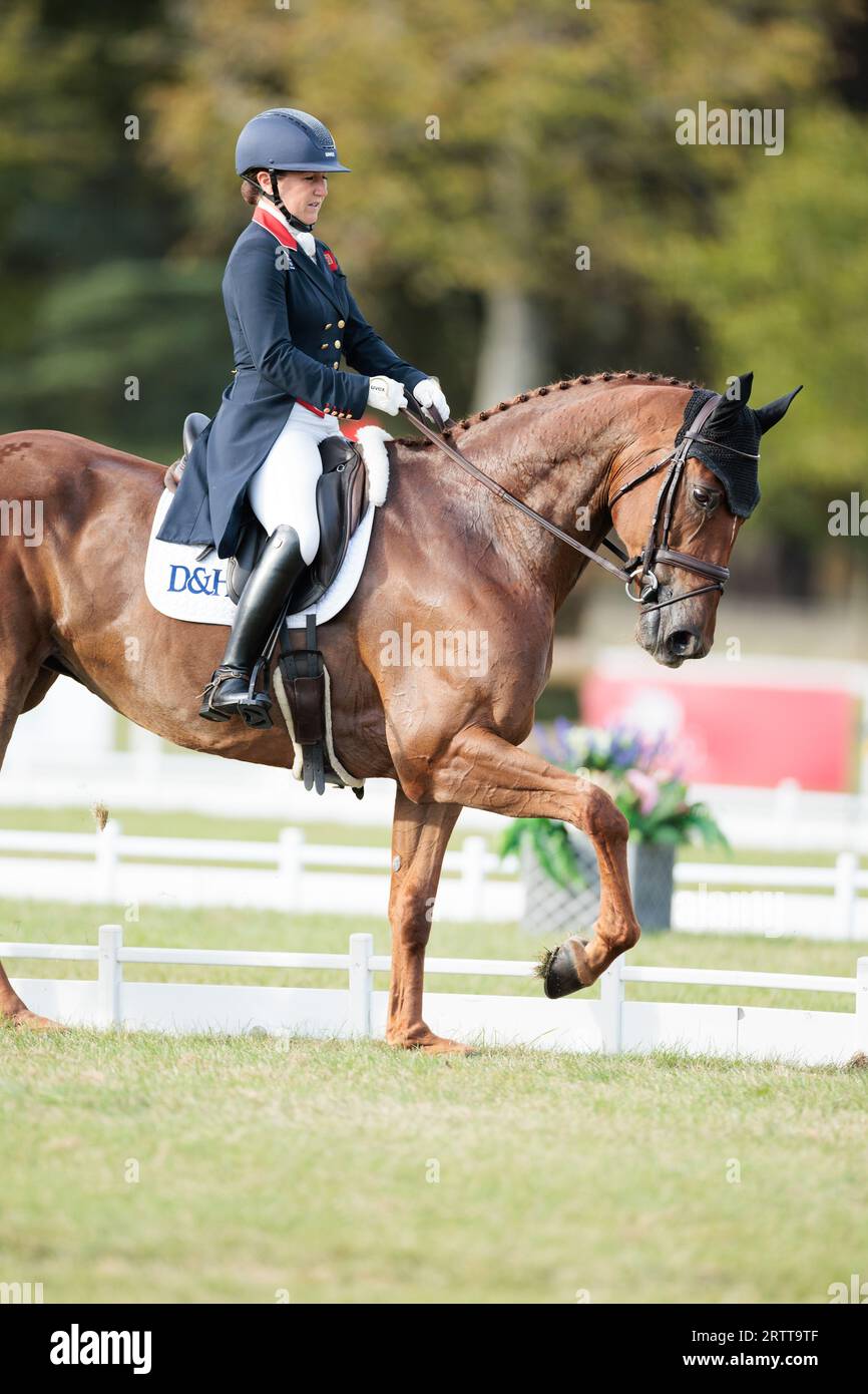 Laura Collett of Great Britain with Bling during the dressage test at ...