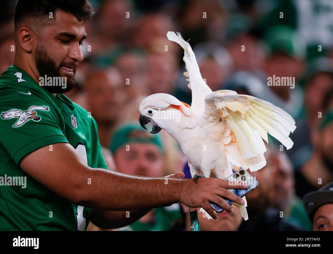 Season 2 2023 hi-res stock photography and images - Alamy